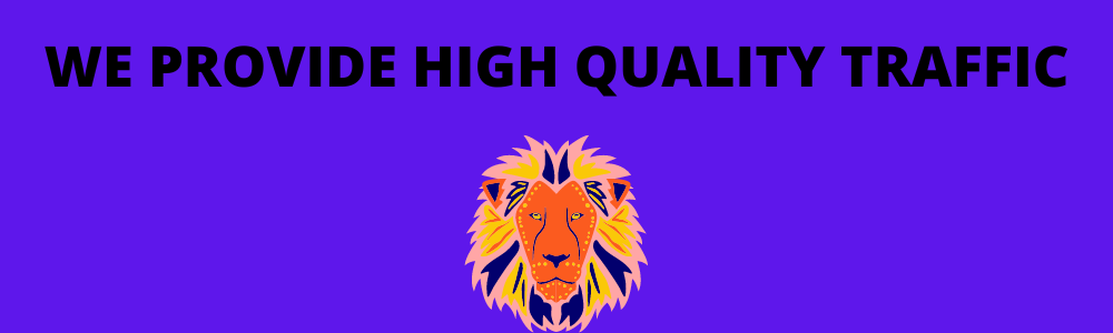 I will Drive USA and UK Organic Web Traffic For your Website for $10 ...