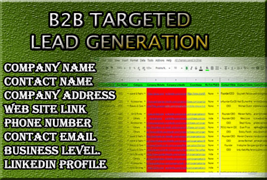 I will provide Targeted B2B Lead Generation for your Business for $30 ...