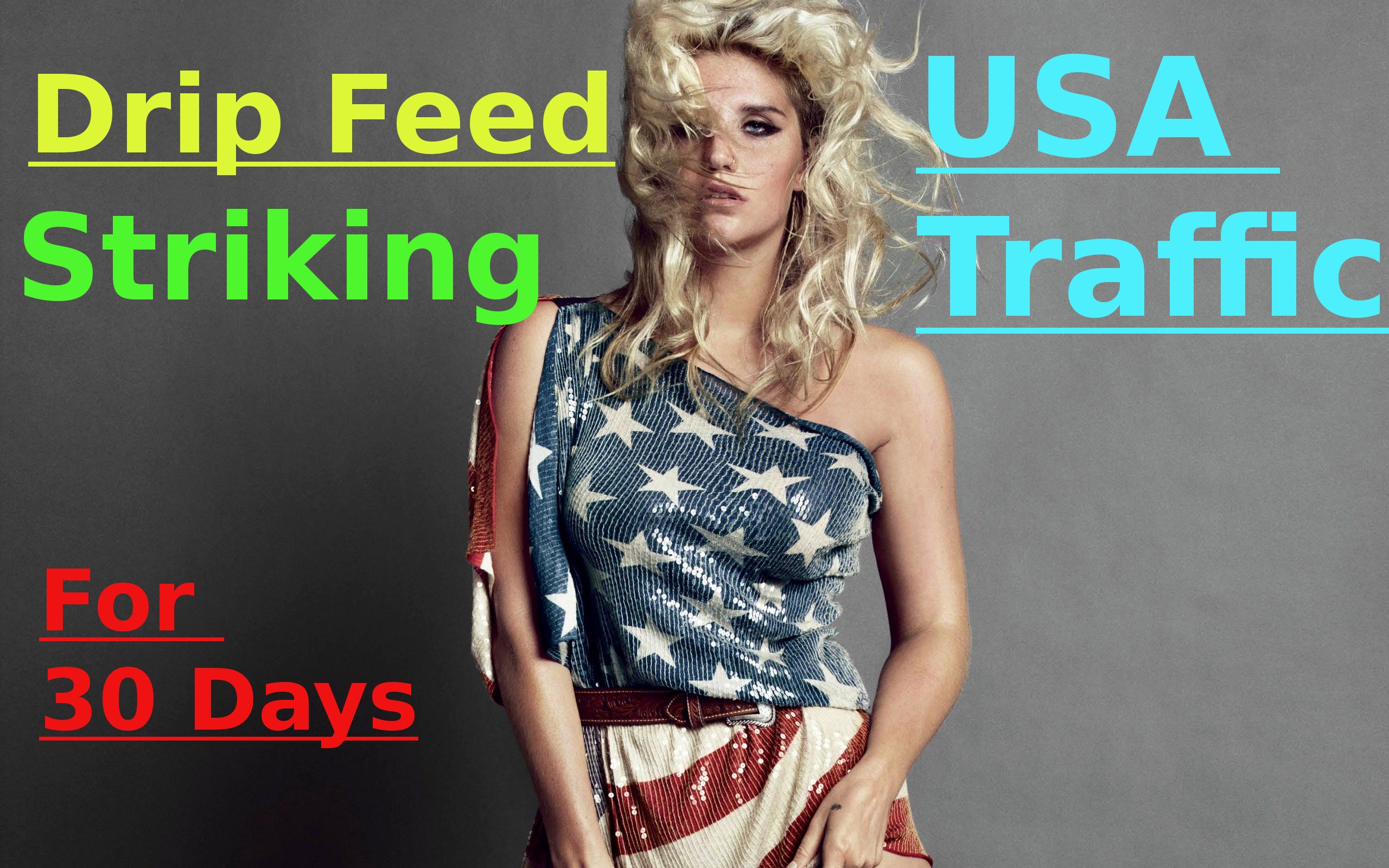 Drip Feed Striking USA Traffic For 30 Days To Your Websites and Blogs ...