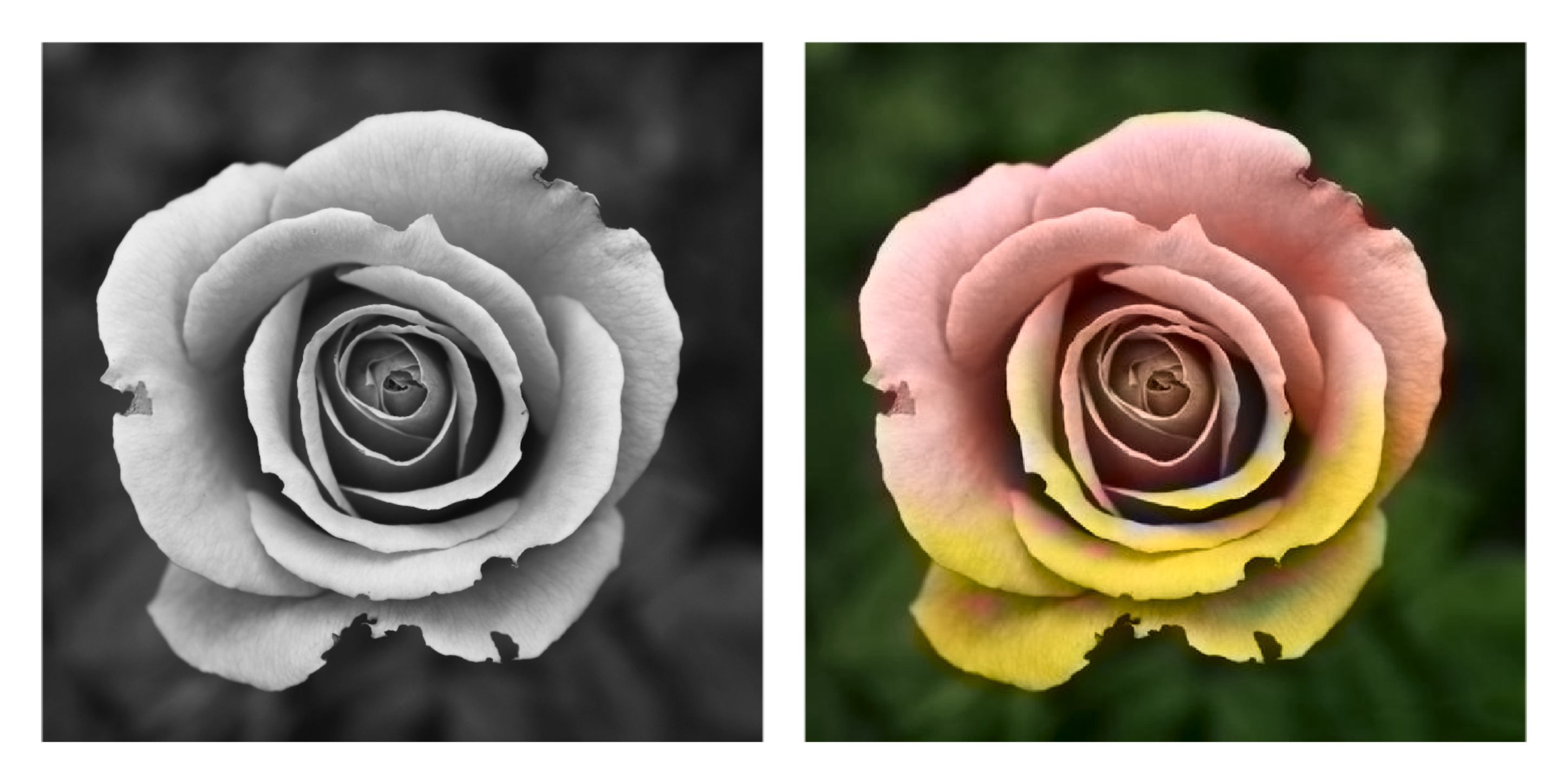Color your old photos and modernize them for $5 - SEOClerks