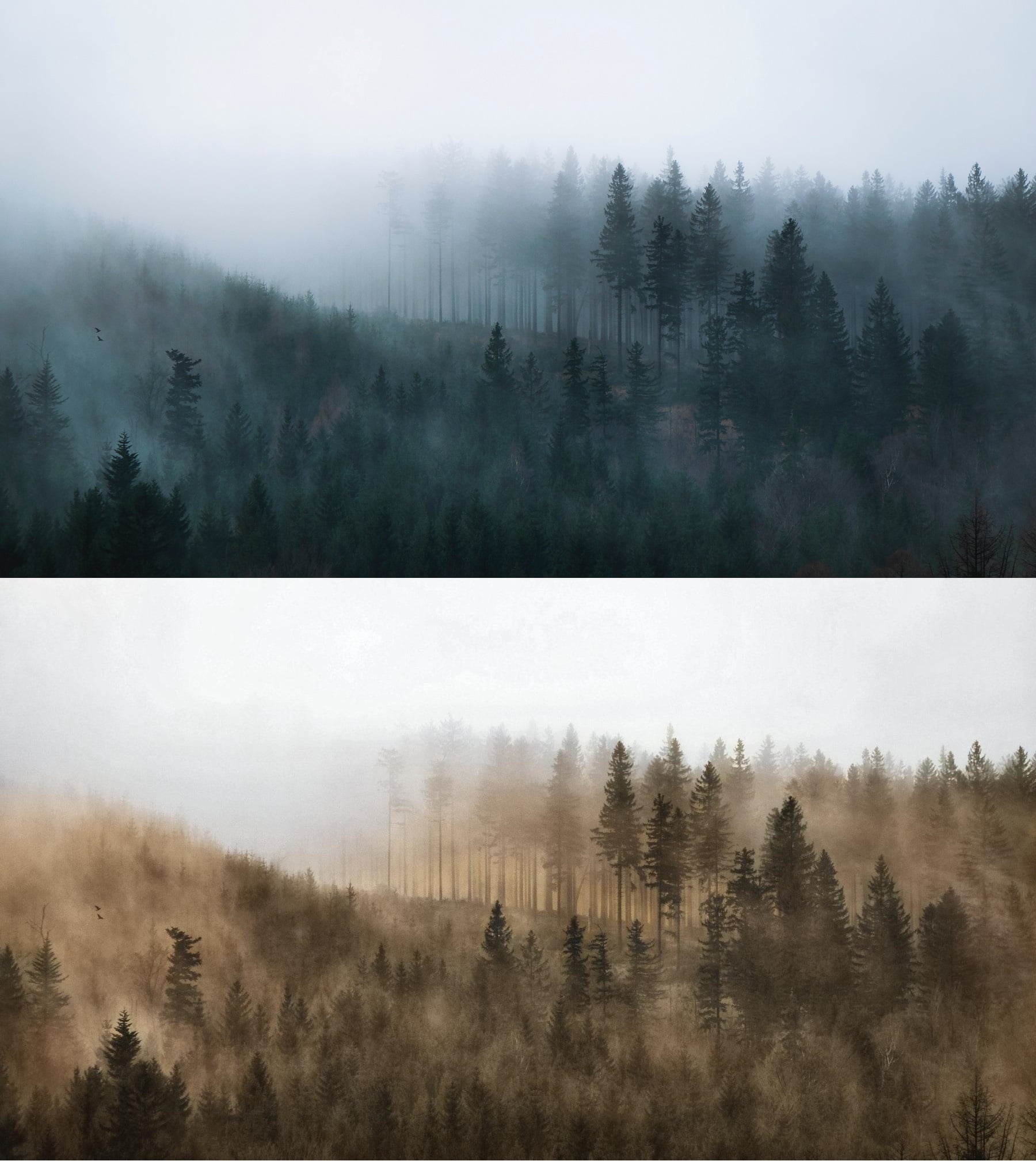 Color Restore, Colorize B& W Photos and Images FAST. FREE SAMPLE BEFORE ...