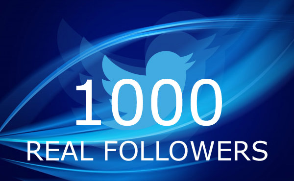 add 1000 TopQuality Permanent and Real Twitter Followers to Your ...
